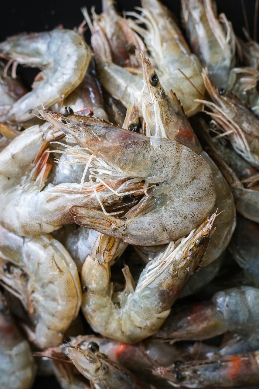 Račići (gambori) sa paradajzom - Milin kuvar